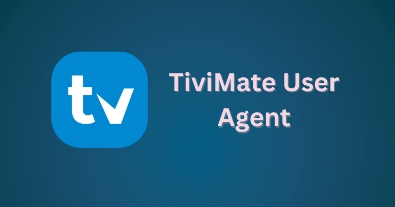 TiviMate User Agent: How to Fix All Related Issues? TiviMate User Agent: How to Fix All Related Issues?